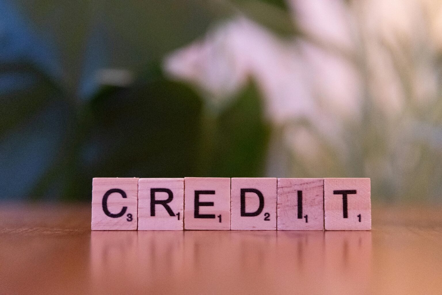 Check My Credit Rating - Templar Mortgages